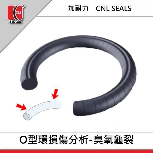 O-Ring Ozone Cracking Analysis | Causes and Prevention
