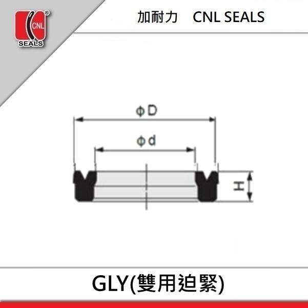 Piston & Rod Seal (GLY) - CNL SEALS