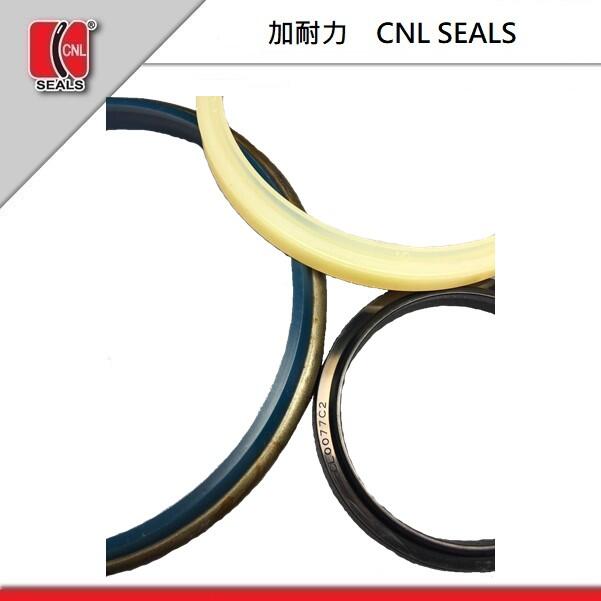 LBH, DSI, DKI, DKBI, DWIR, DKB Packing - CNL SEALS