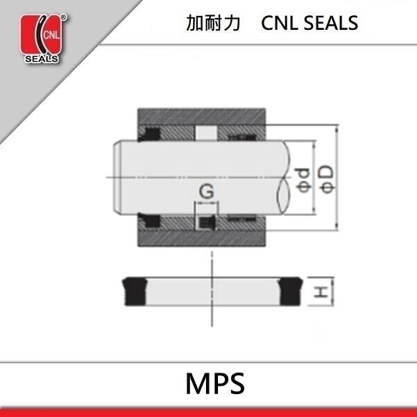MPS Packing d 112 - D 125 - H 9