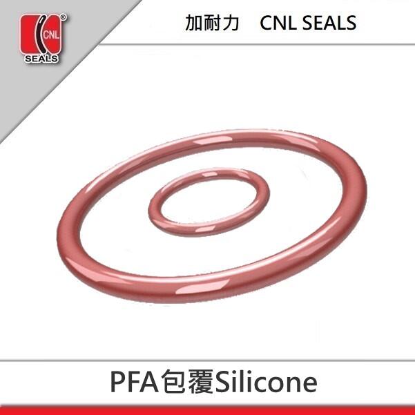 PFA Encapsulated Silicone O-ring